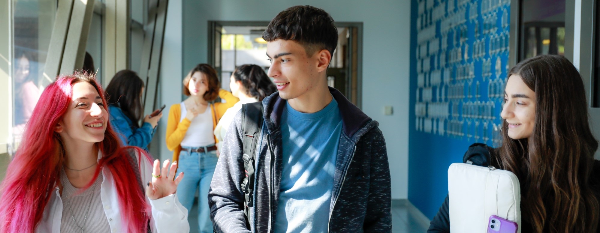 American University of Armenia : HOME